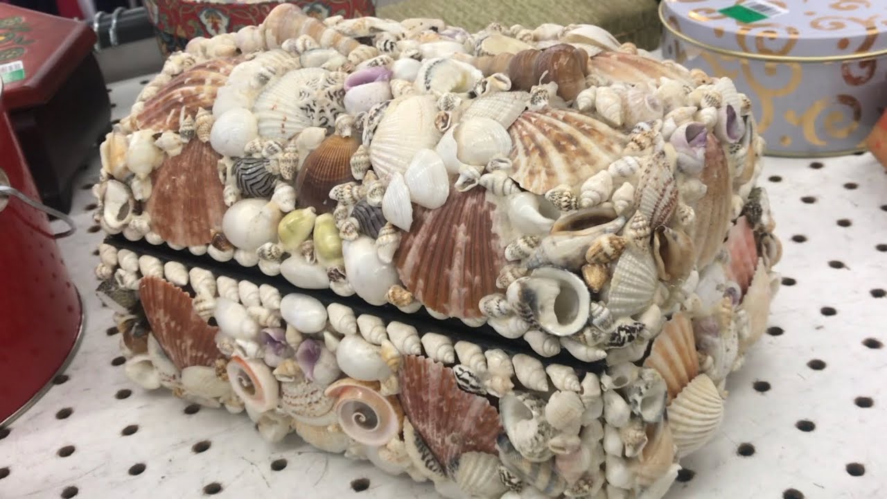 real natural SEASHELL jewelry trinket gift box - YouTube