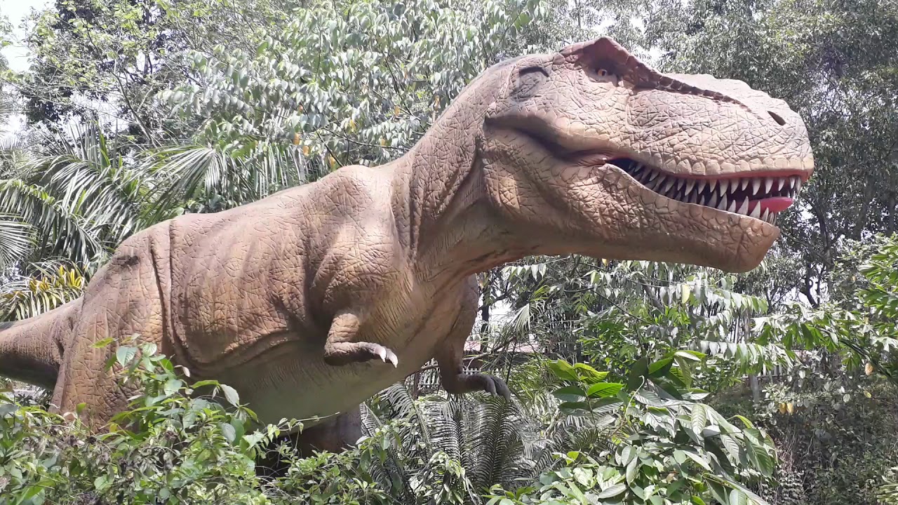 Dragon video Deccan Dragon video Kaise bheje movie dinosaur park ...