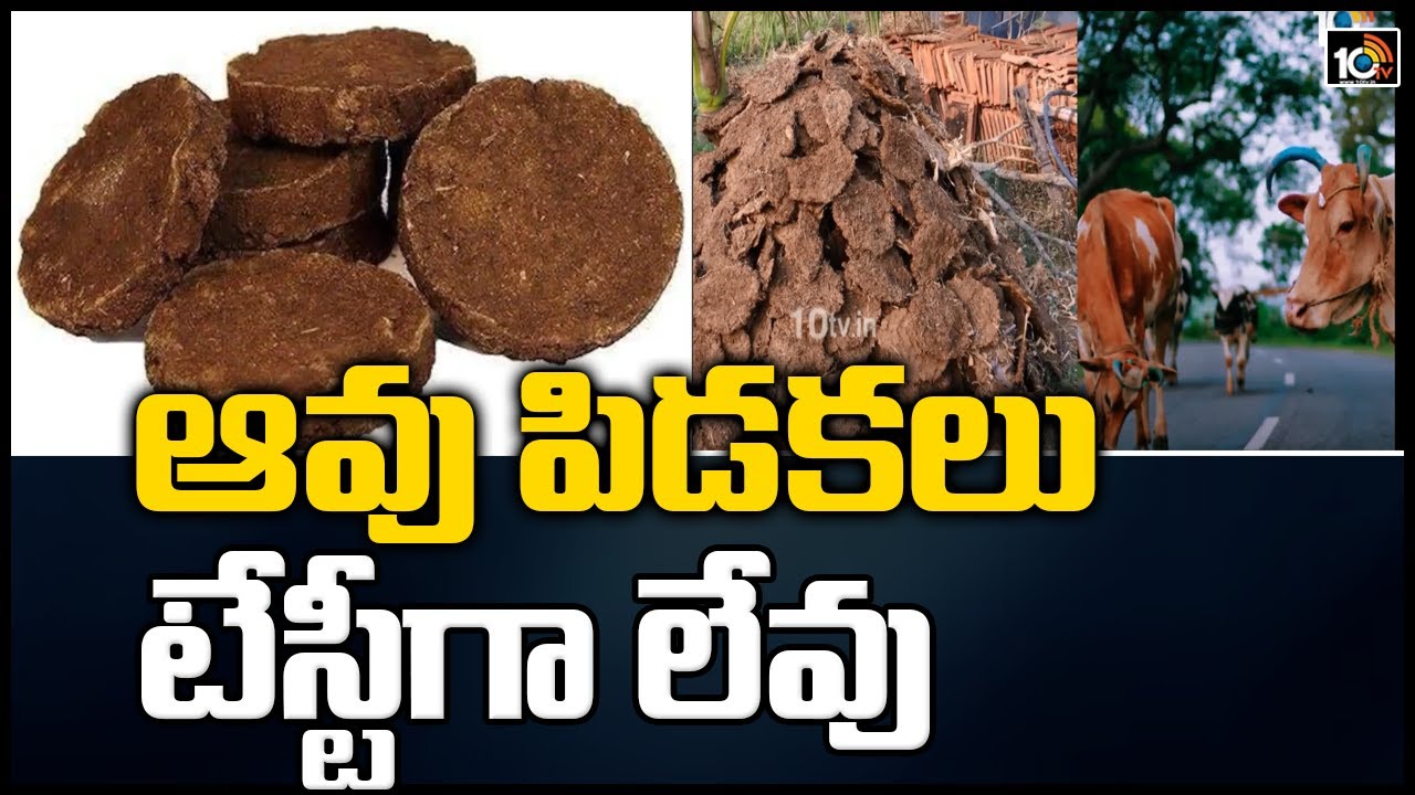 ఆవు పిడకలు టేస్టీగా లేవు | Man Buys Cow Dung Cakes in Amazon & Eats It ...