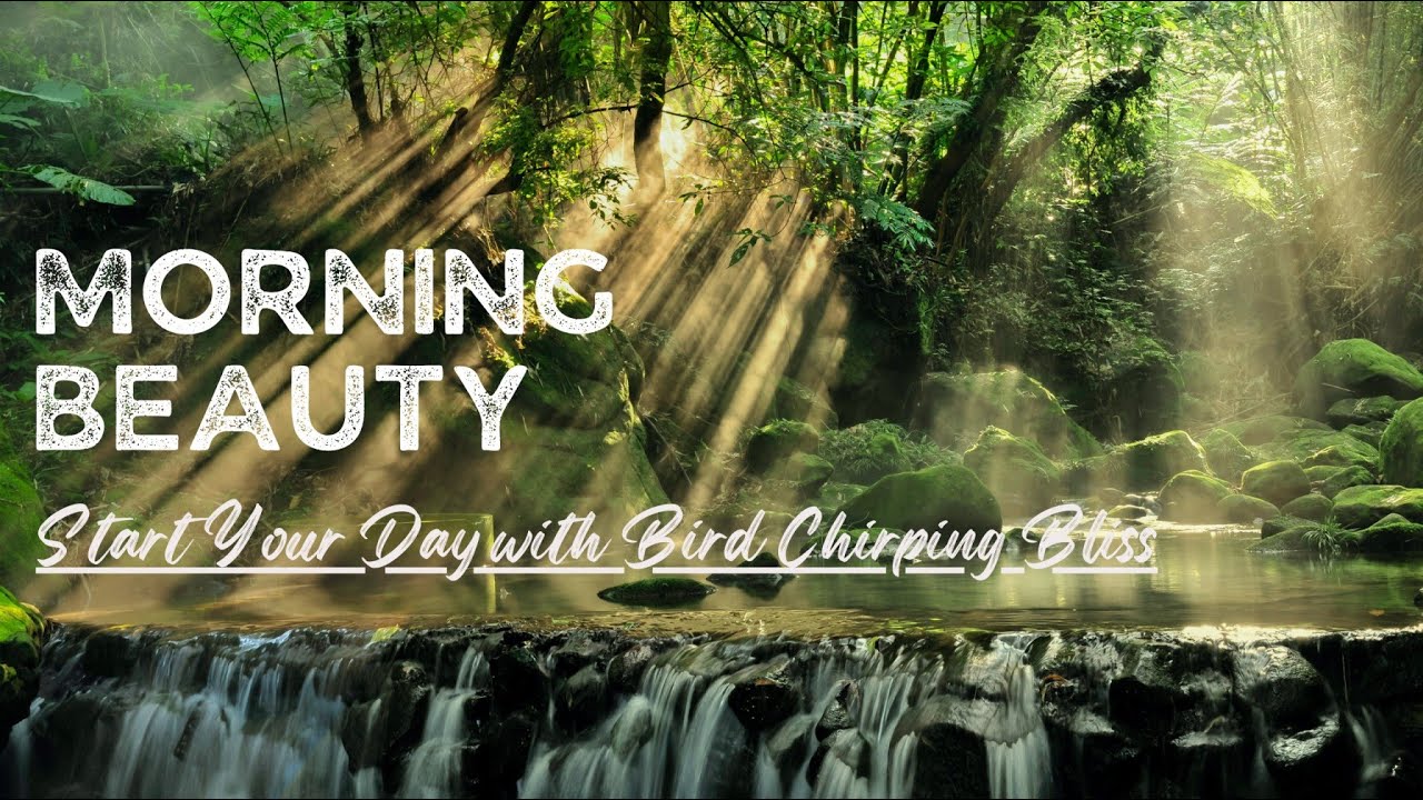Morning Harmony: Start Your Day with Bird Chirping Bliss - YouTube