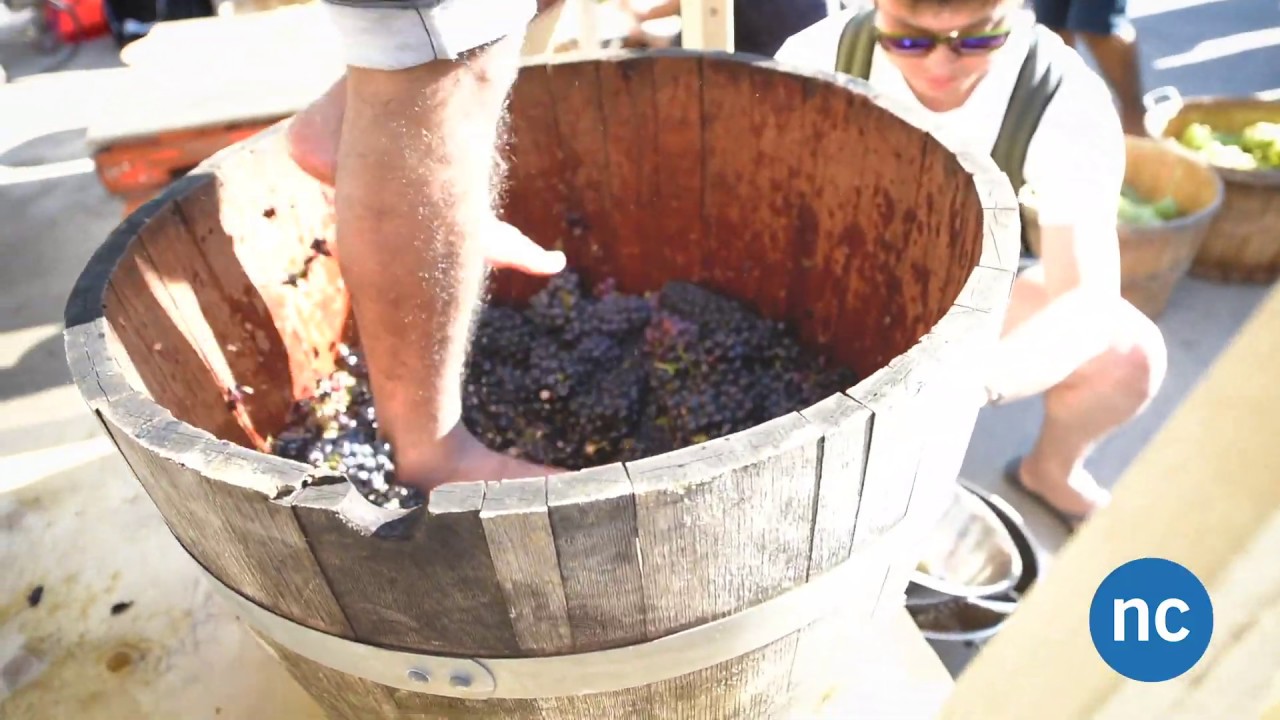 NC Winery 2019 Grape Stomp! - YouTube