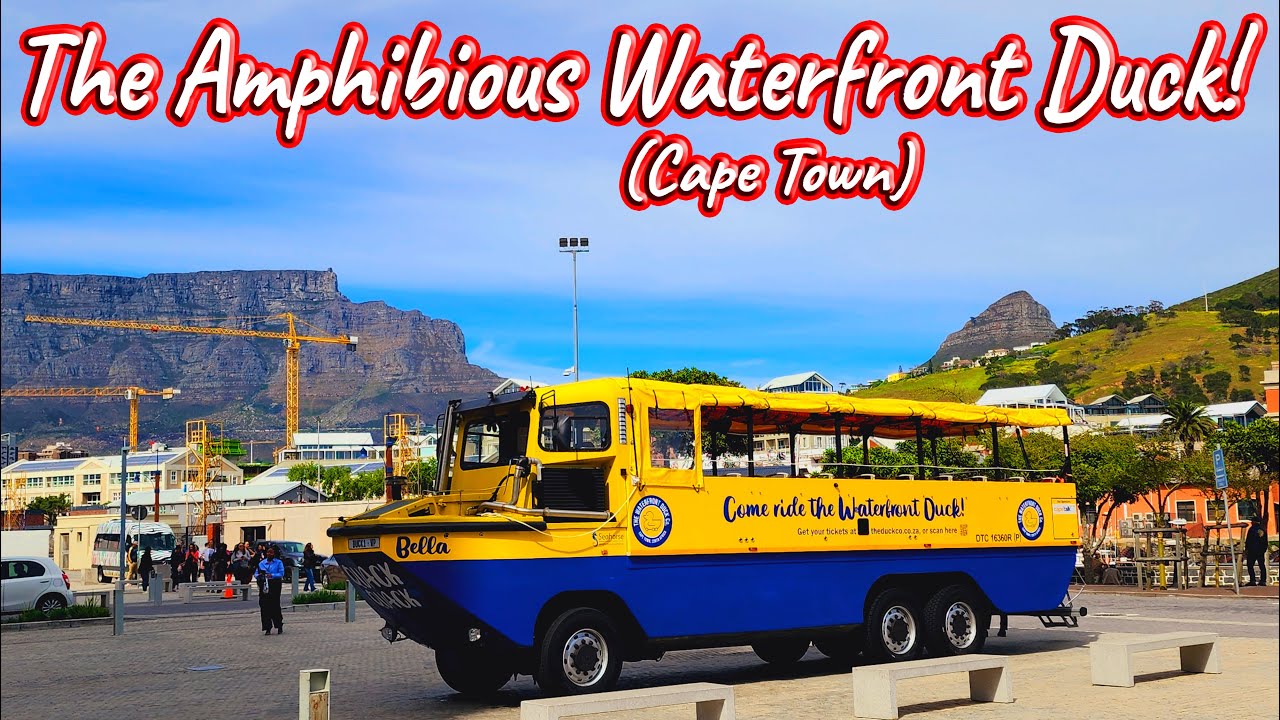 The Waterfront Duck, Cape Town! S1 – Ep 535 - YouTube