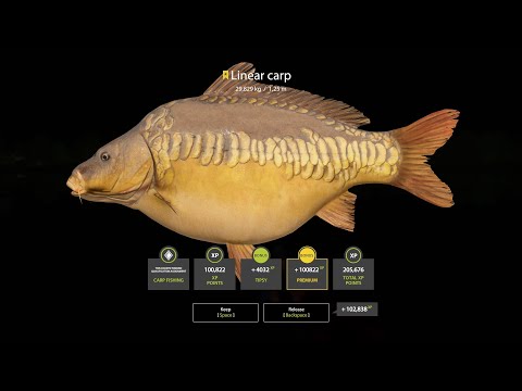 RF4 - Trophy Linear Carp - 29,829kg - YouTube