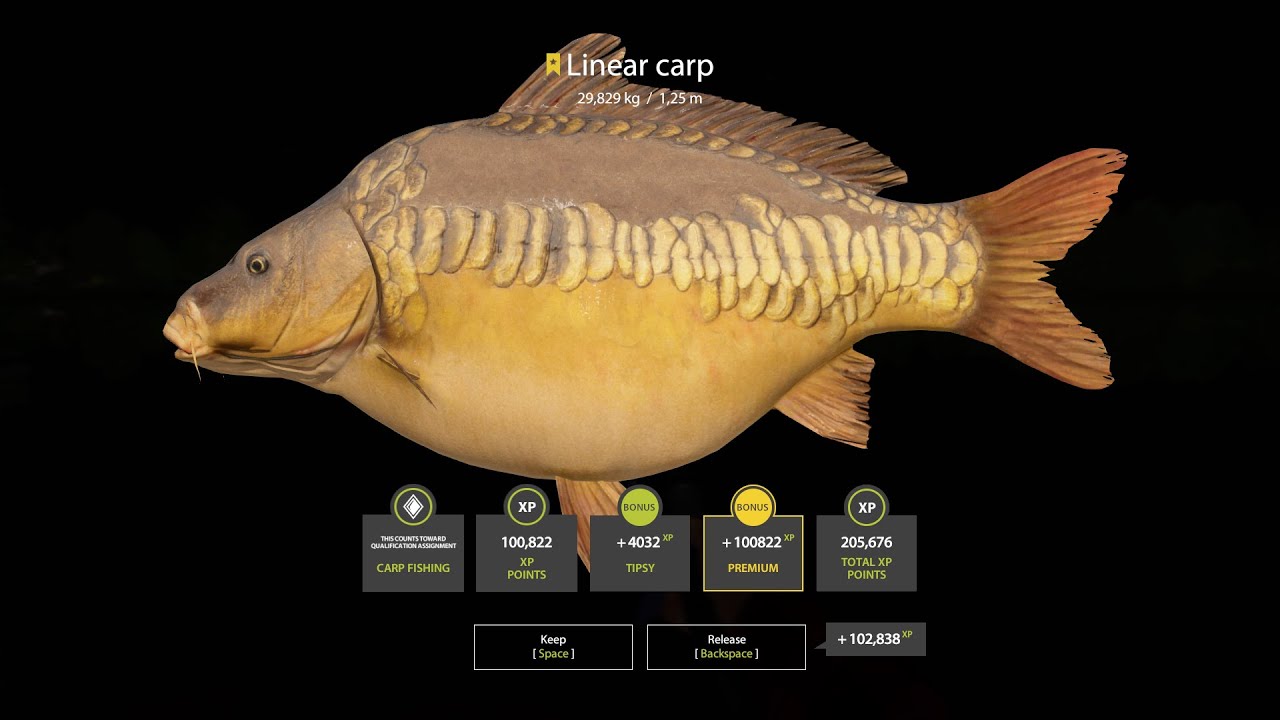RF4 - Trophy Linear Carp - 29,829kg - YouTube