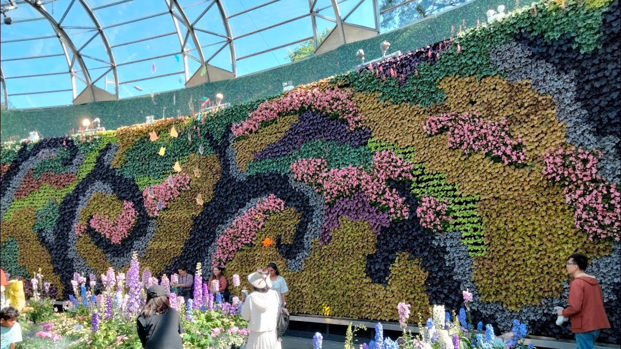 🌹💐🌺🌷The Calyx Sydney - YouTube