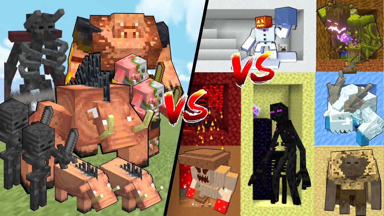 NETHER vs ALL BIOMES in Minecraft Mob Battle - YouTube