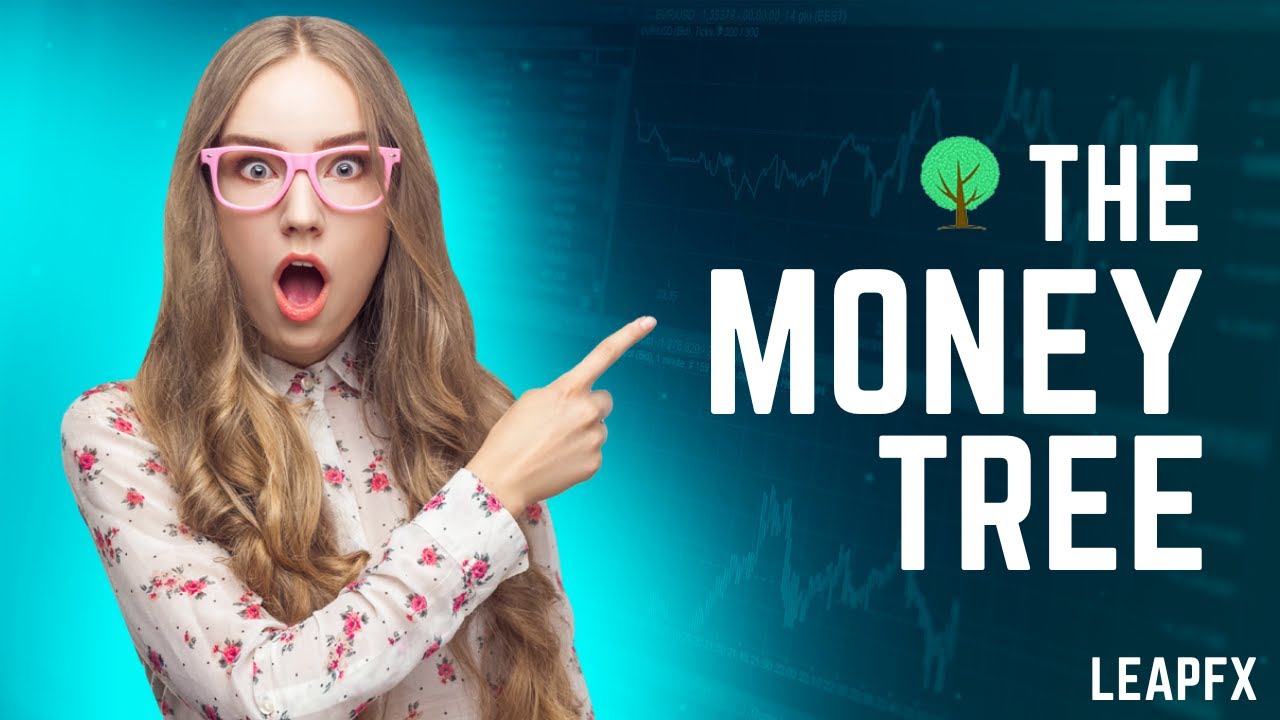 The Money Tree Robot *First Review and Results* [LeapFx] - YouTube