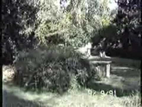 Bruton Vault Dig - Quest of the Ages . com - YouTube