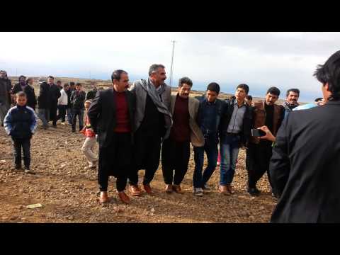 siverek  düğünleri  2014