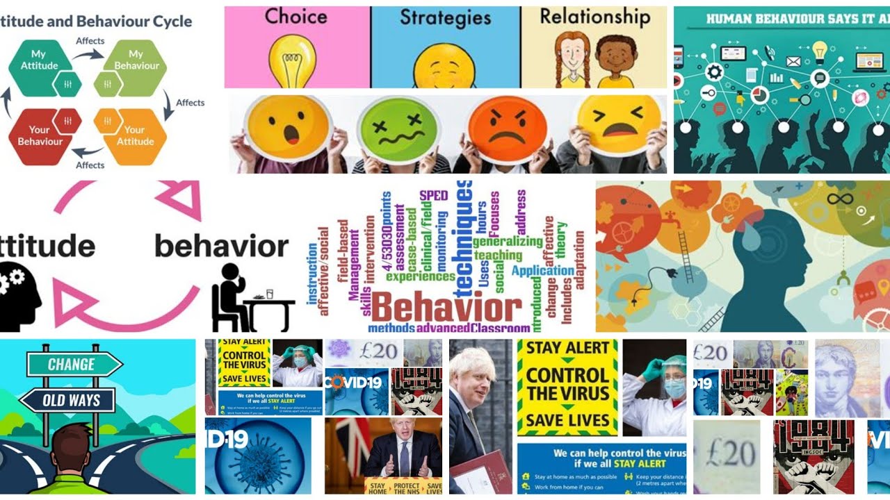 Covid Inquiry Prof David Halpern Behavioural insight team - YouTube