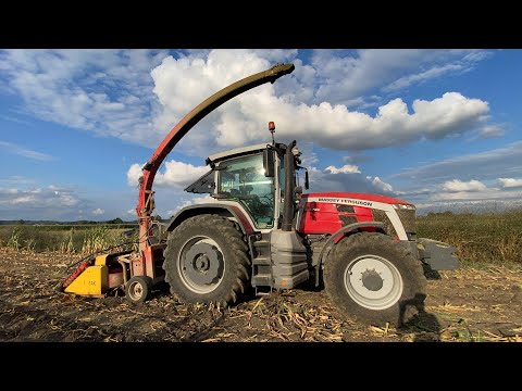 MASSEY FERGUSON 8S 245 ÇELMAK 4 SIRA İLE SLAJ YAPIYORUZ!