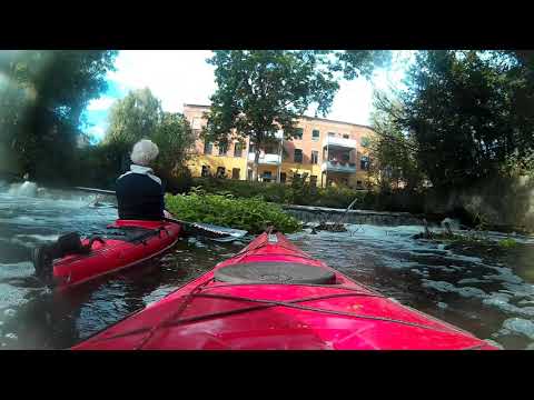 Weiße Elster, Fluss des Jahres 20/21 - YouTube