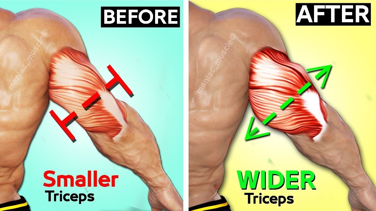 How To Build Your WIDER Triceps workout AT GYM (Effective Exercises ...