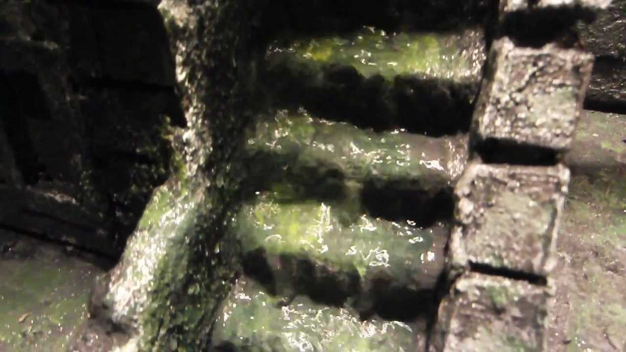 wodospad dla kameleonów (chameleon waterfall - YouTube