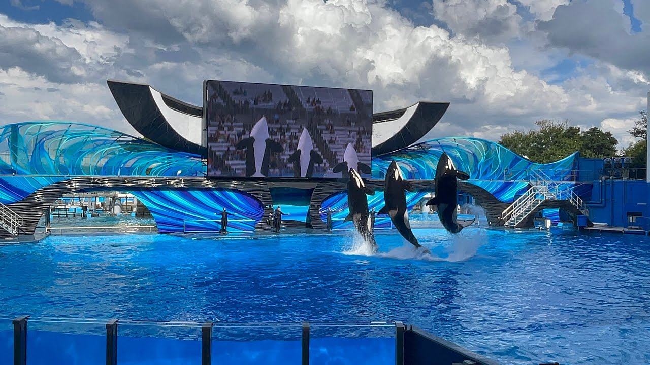 2021 NEW SHOW - Orca Encounter A Killer Whale Experience 🐳| SeaWorld ...