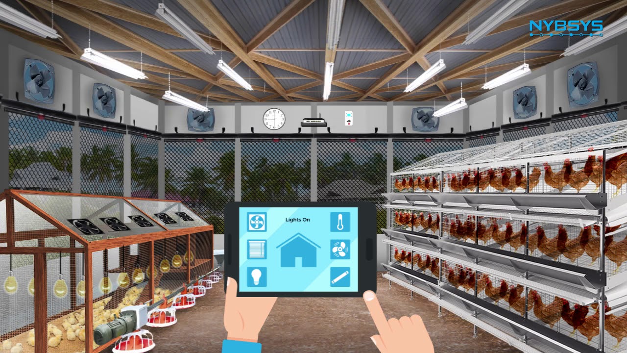 Smart Poultry Farm - YouTube