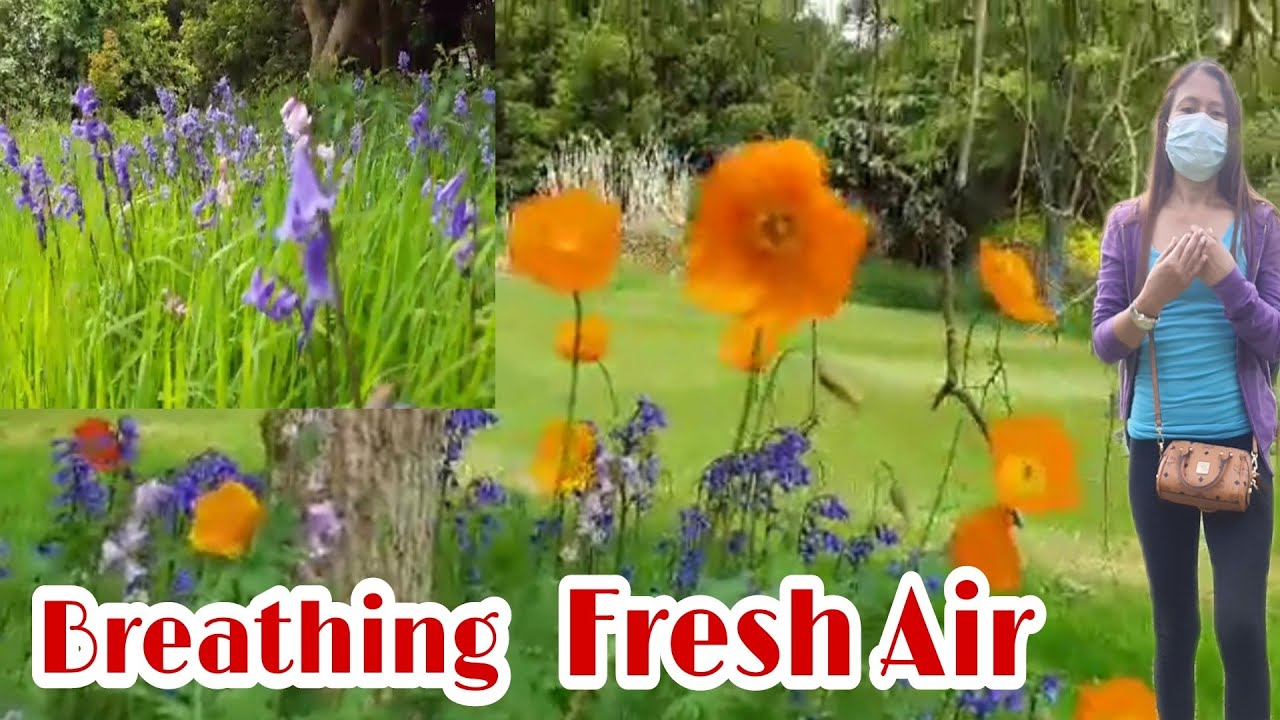 GARDEN WALKING UNDER BEAUTIFUL WEATHER | reinavlog - YouTube