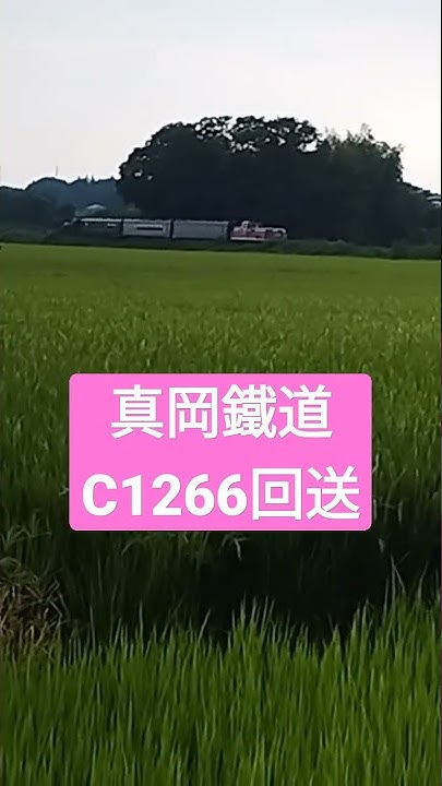 真岡鐵道C1266回送 - YouTube