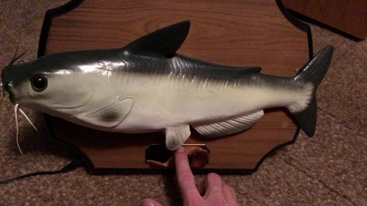 SENSATIONAL SAMMY *** (Singing Fish) - YouTube