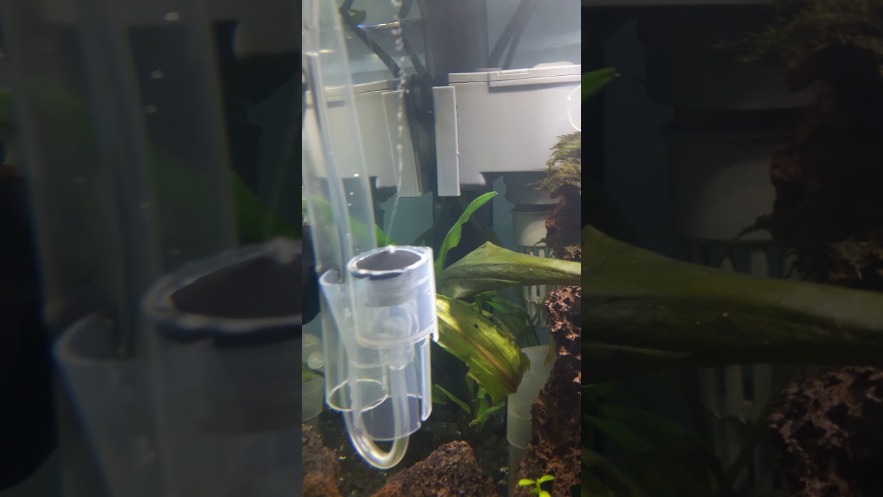 Diffuser CO2 DIY - YouTube