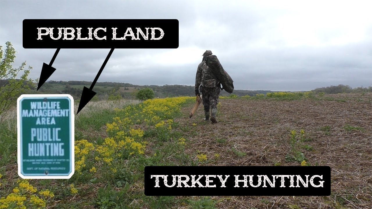 Hunting For My First Public Land Tom (Wisconsin Public Land Turkey ...