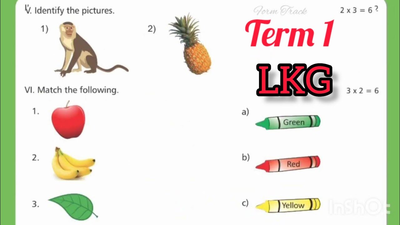 lkg evs question paper evs lkg question paper evs lkg gk question lkg ...