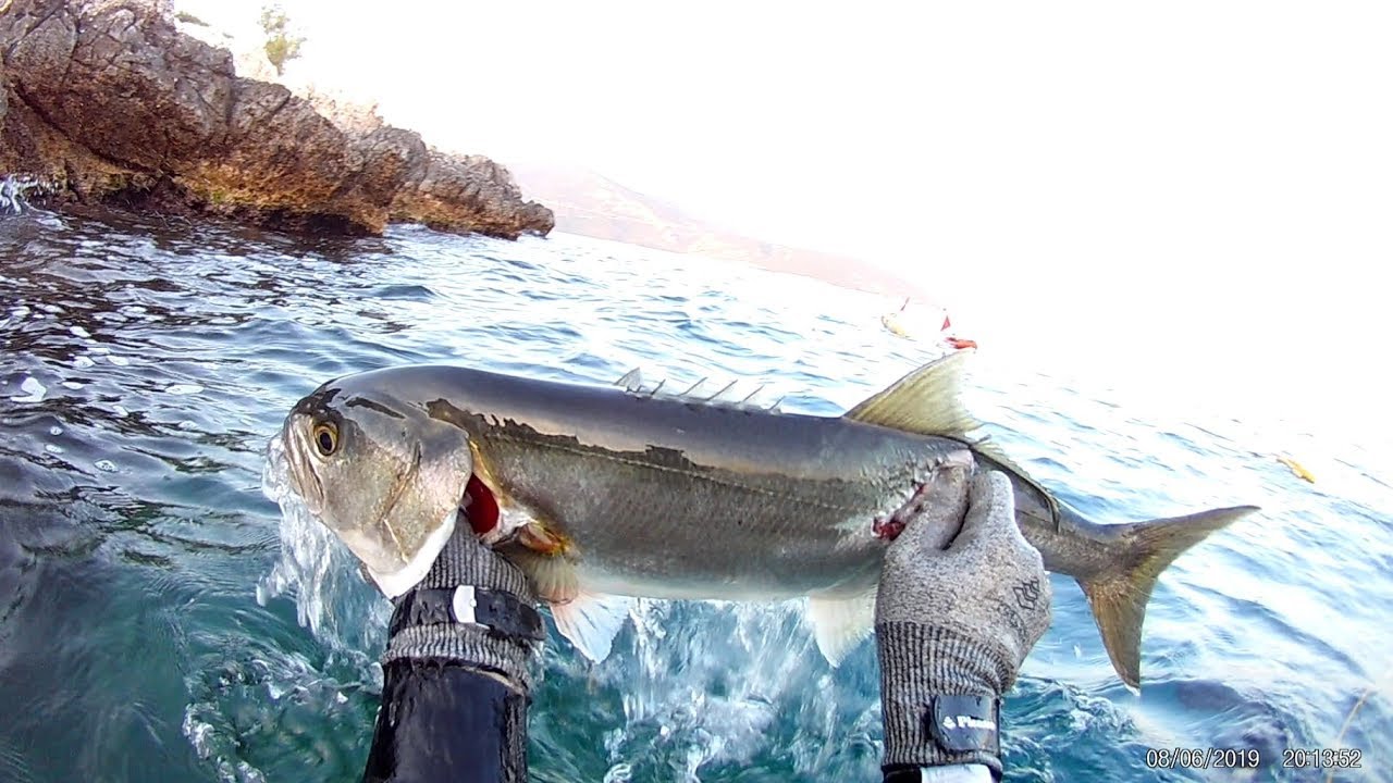 ΨΑΡΟΝΤΟΥΦΕΚΟ - ΙΟΥΝΙΟΣ 2019 ~ Spearfishing - June - summer 2019 - YouTube