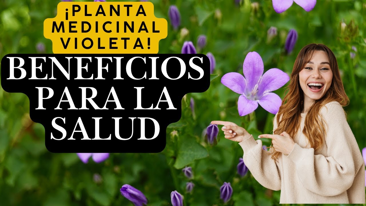 🌸 La Violeta: un tesoro natural para tu piel y bienestar 🌿 - YouTube