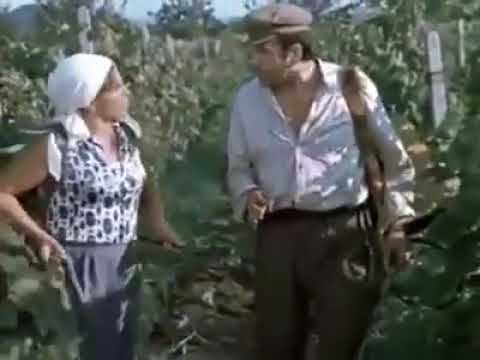 Откъс от Матриархат (1977)