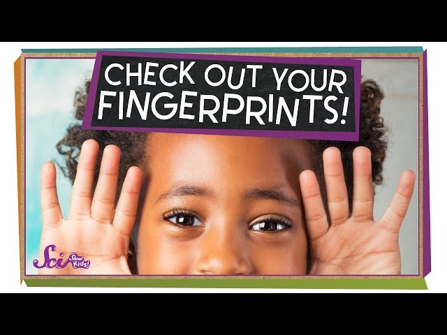 Fingerprints For Kids