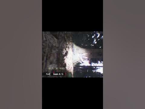 I can't believe I died like this #gaming #dontscream #horrorgaming # ...