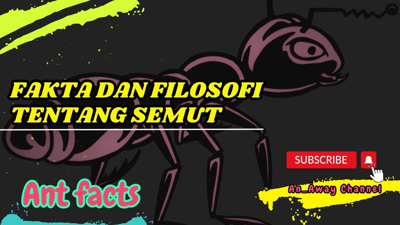 Fakta dan Filosofi Unik Tentang Semut | hewan yang memberi kita banyak ...