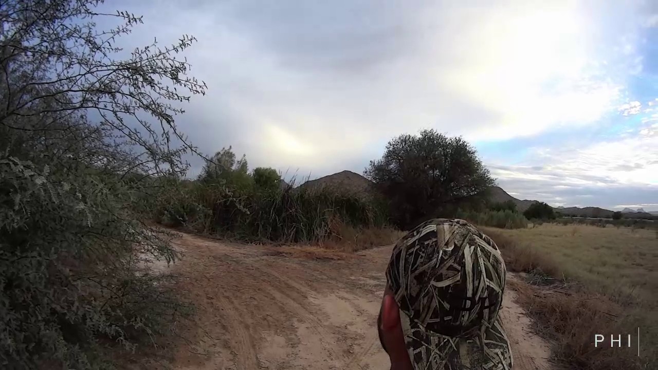 Scouting Desert Ducks - Arizona Duck Hunt 2016 - YouTube