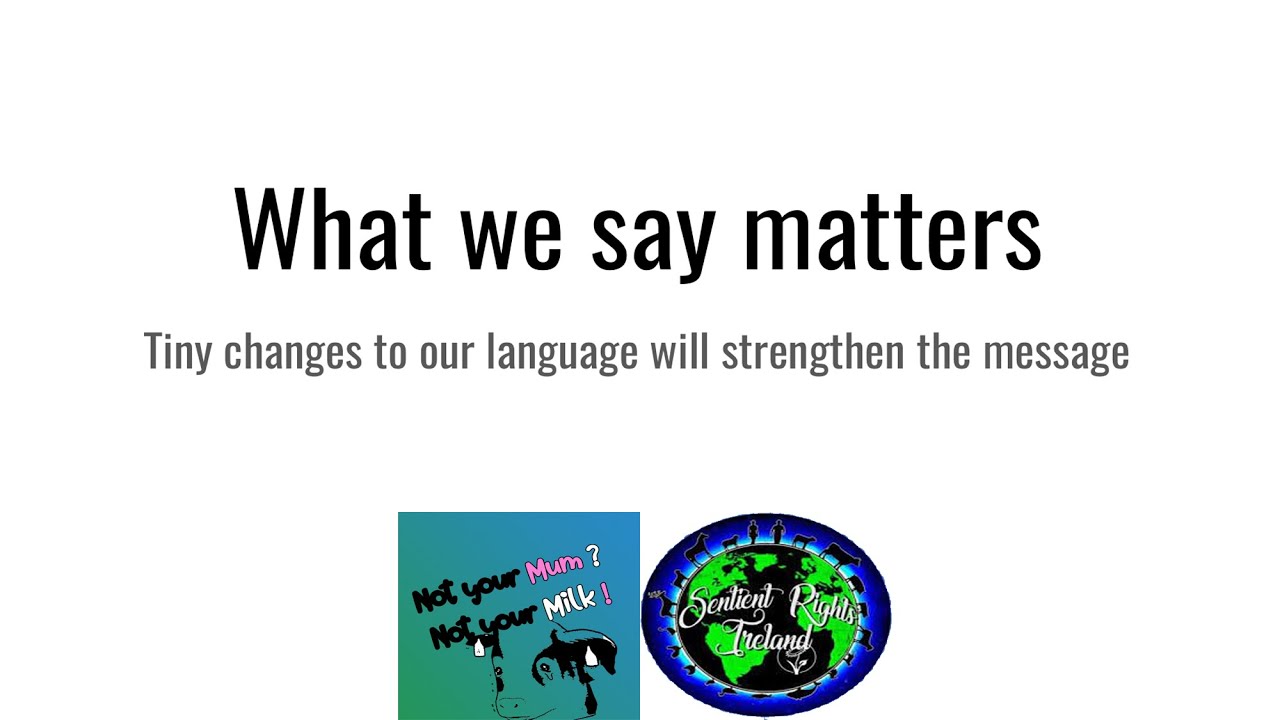 Language Matters Talk - with Sentient Rights Ireland - YouTube