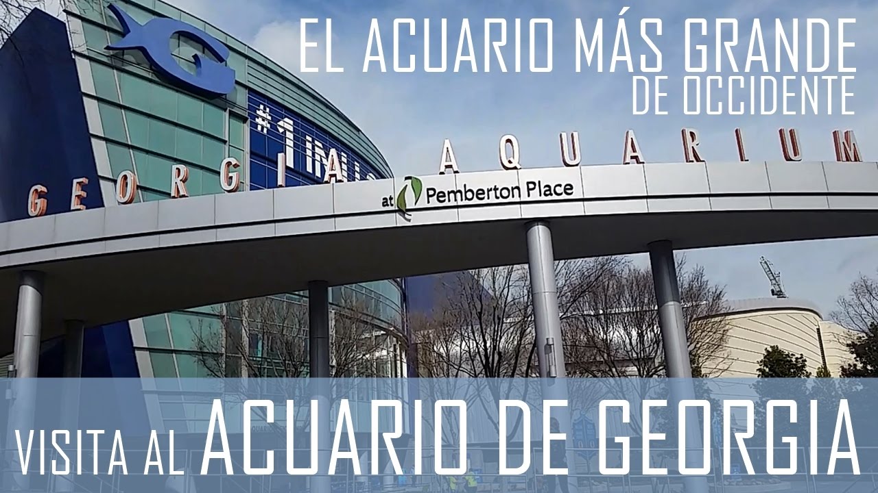 REVIEW: Sobre mi visita al acuario de Georgia (El acuario más grande ...