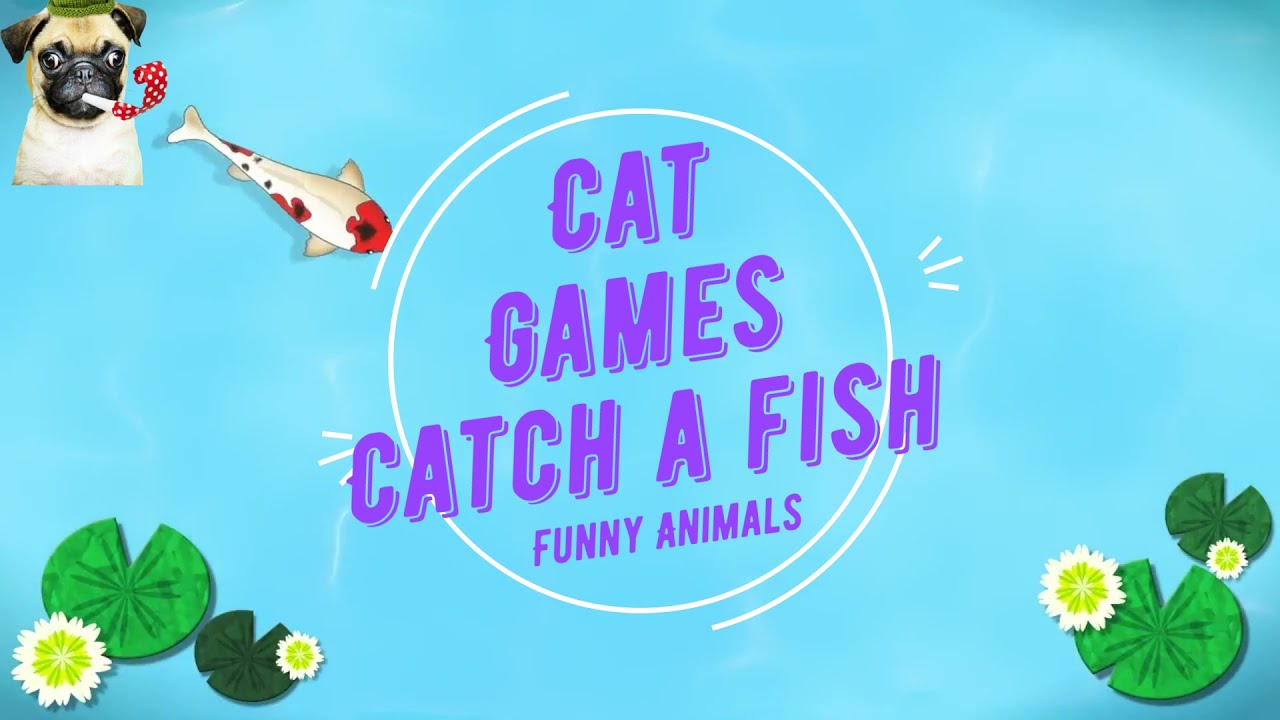 CAT GAMES FISH. Catching Fish. Video for Cats to Watch. Catch a fish ...