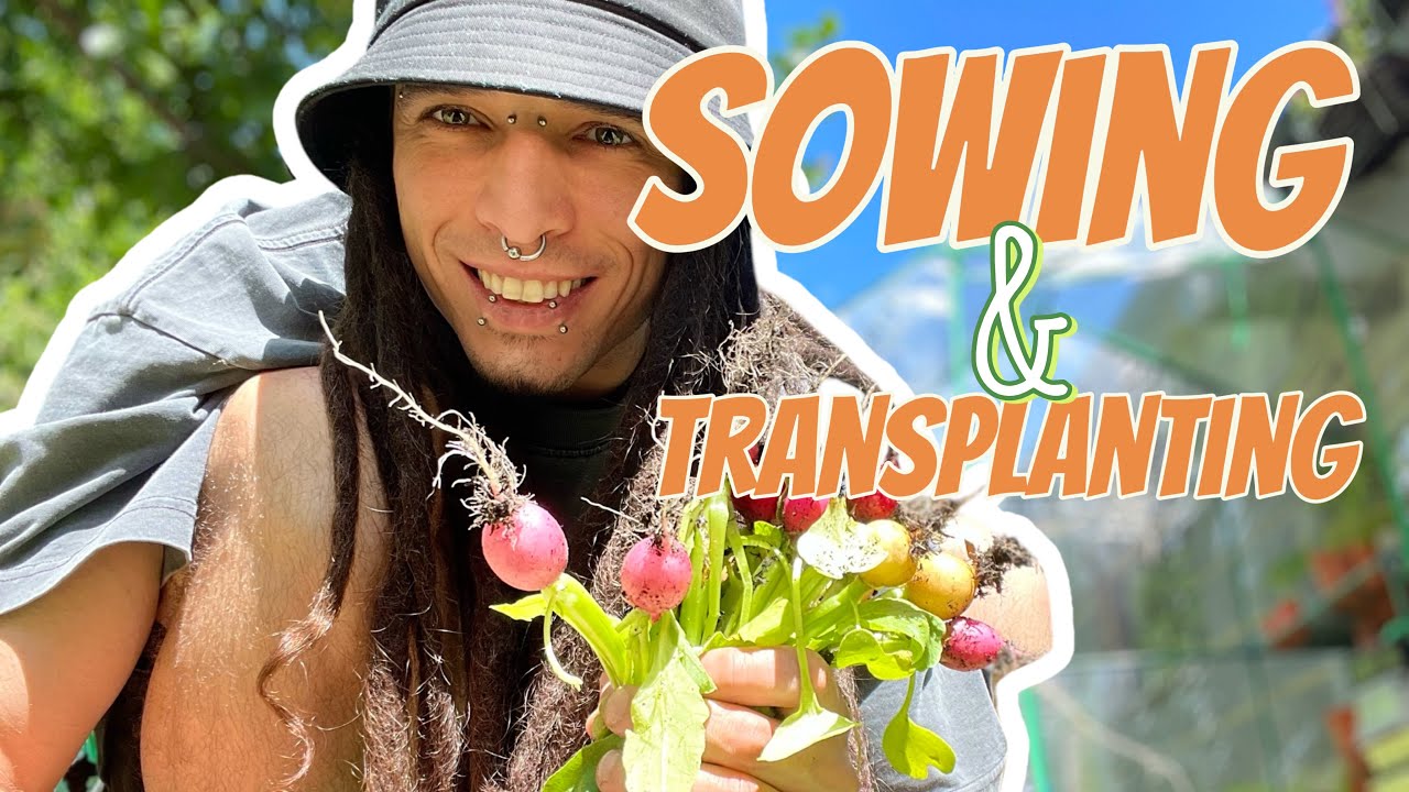 Freaky Garden: Sowing & Transplanting Day 🌱 #garden #gardening #sowing ...