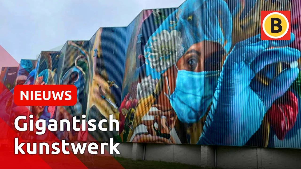 Wand van Organon Oss verandert in gigantisch kunstwerk | Omroep Brabant ...