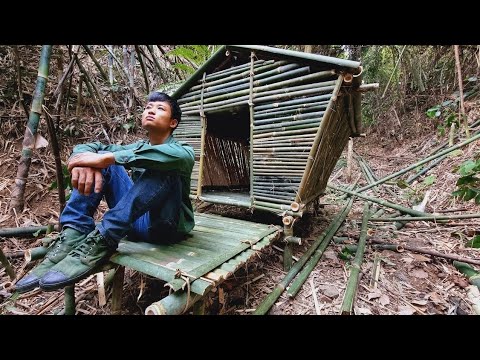 Solo in the Jungle – Building a Bamboo House from Scratch - YouTube