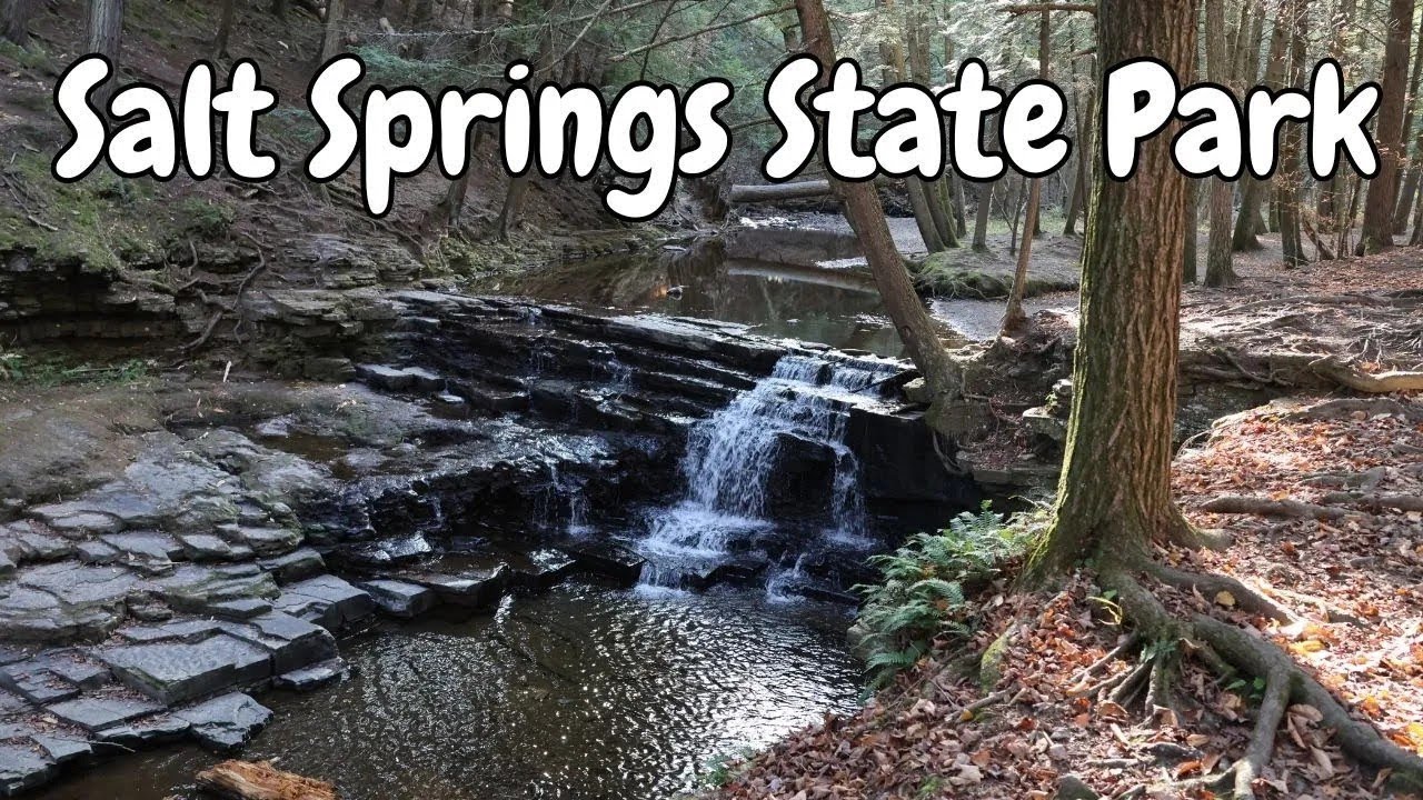 Salt Springs State Park - Amazing Waterfalls and Penny Rock - YouTube