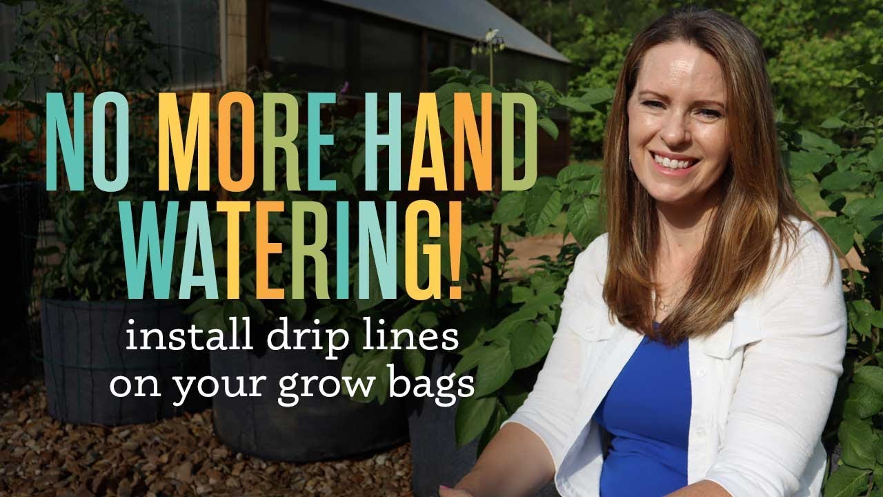 Set Your Grow Bag Irrigation on Autopilot with Drip Lines by Doing This ...