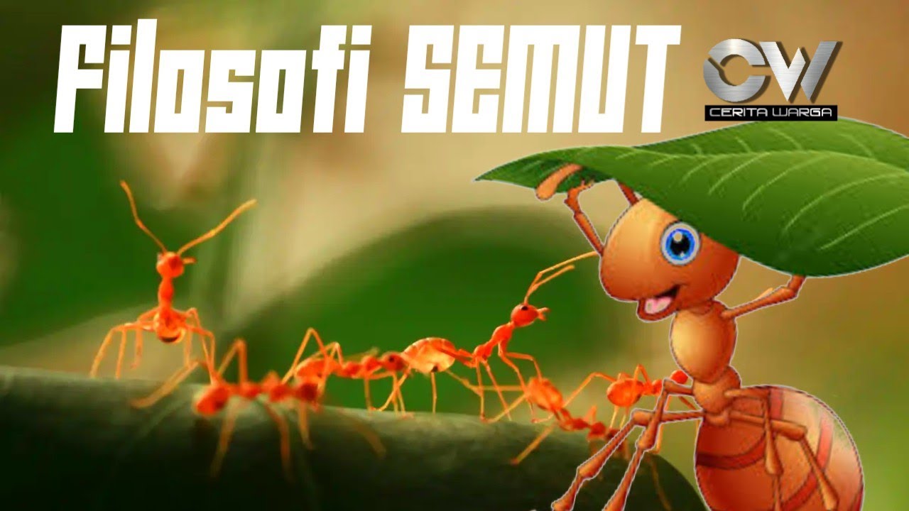 Filosofi Semut || Semut adalah serangga yang suka bergotong royong ...