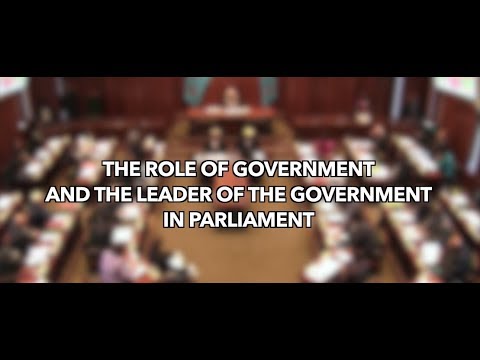 The Role of Government and the Leader of the Government in Parliament ...
