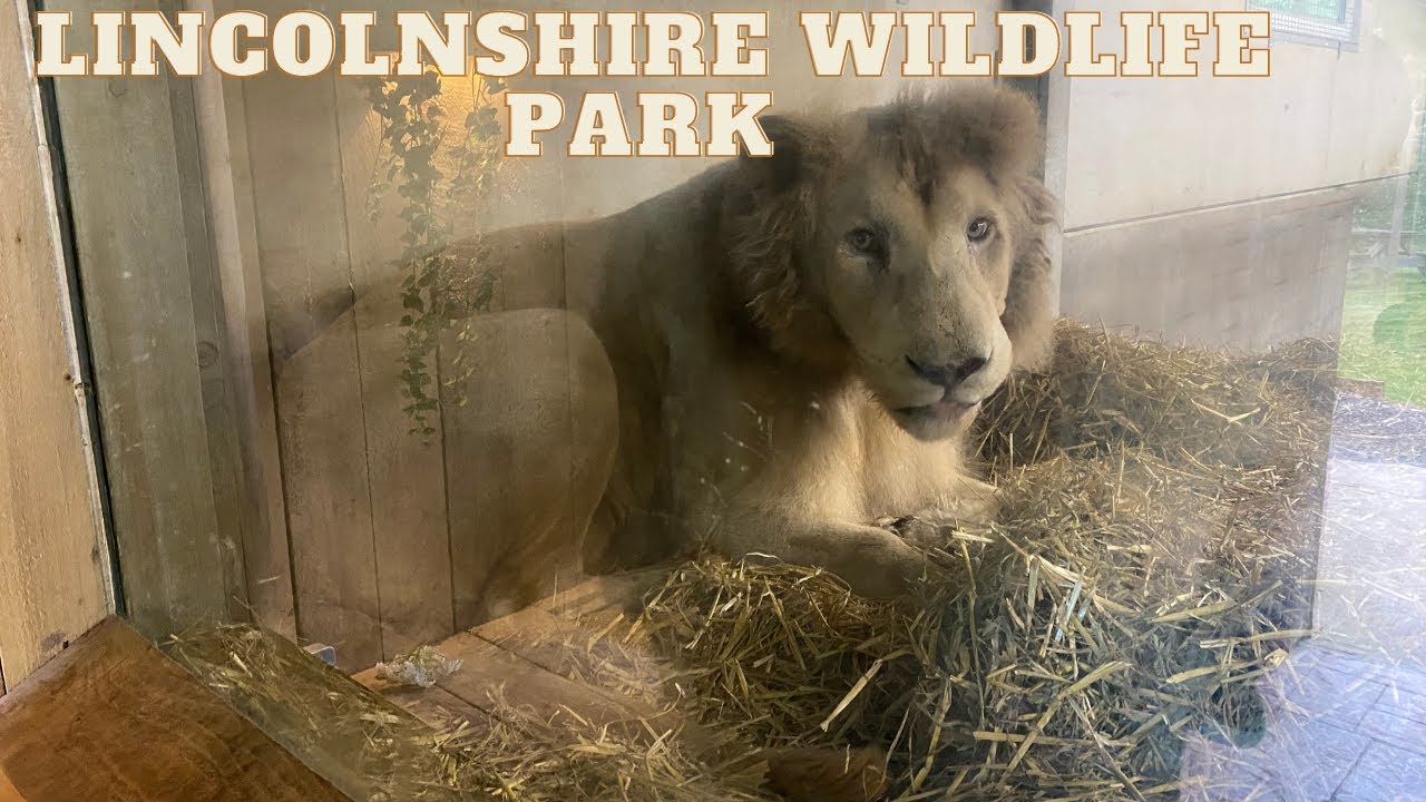 Lincolnshire Wildlife Park - YouTube