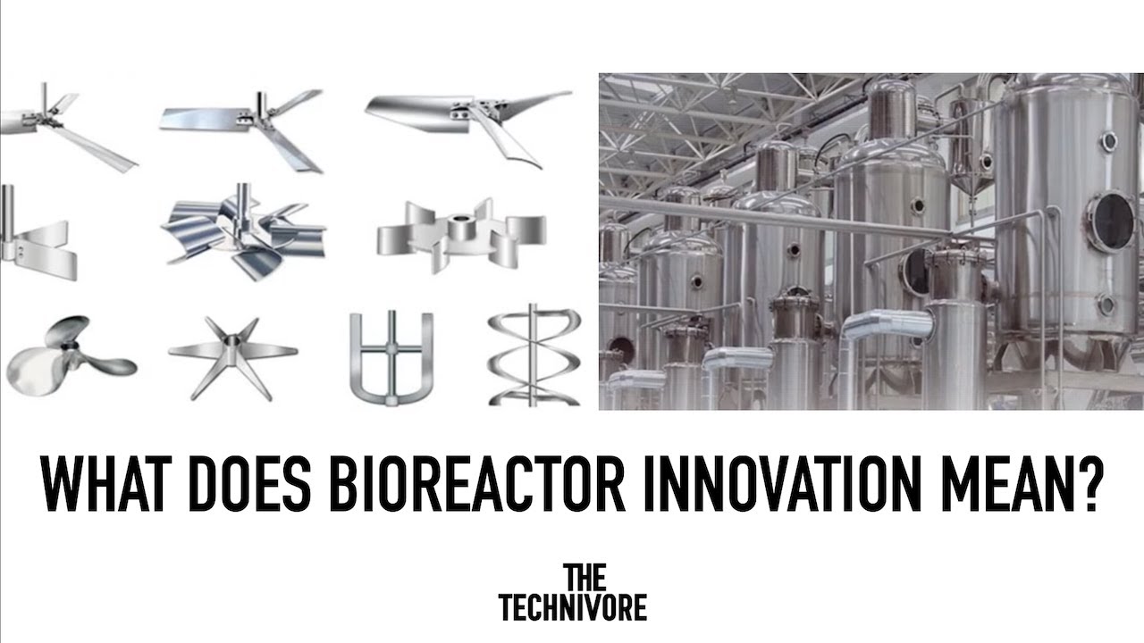What Could Cultivated Meat Bioreactor Innovation Look Like? - YouTube