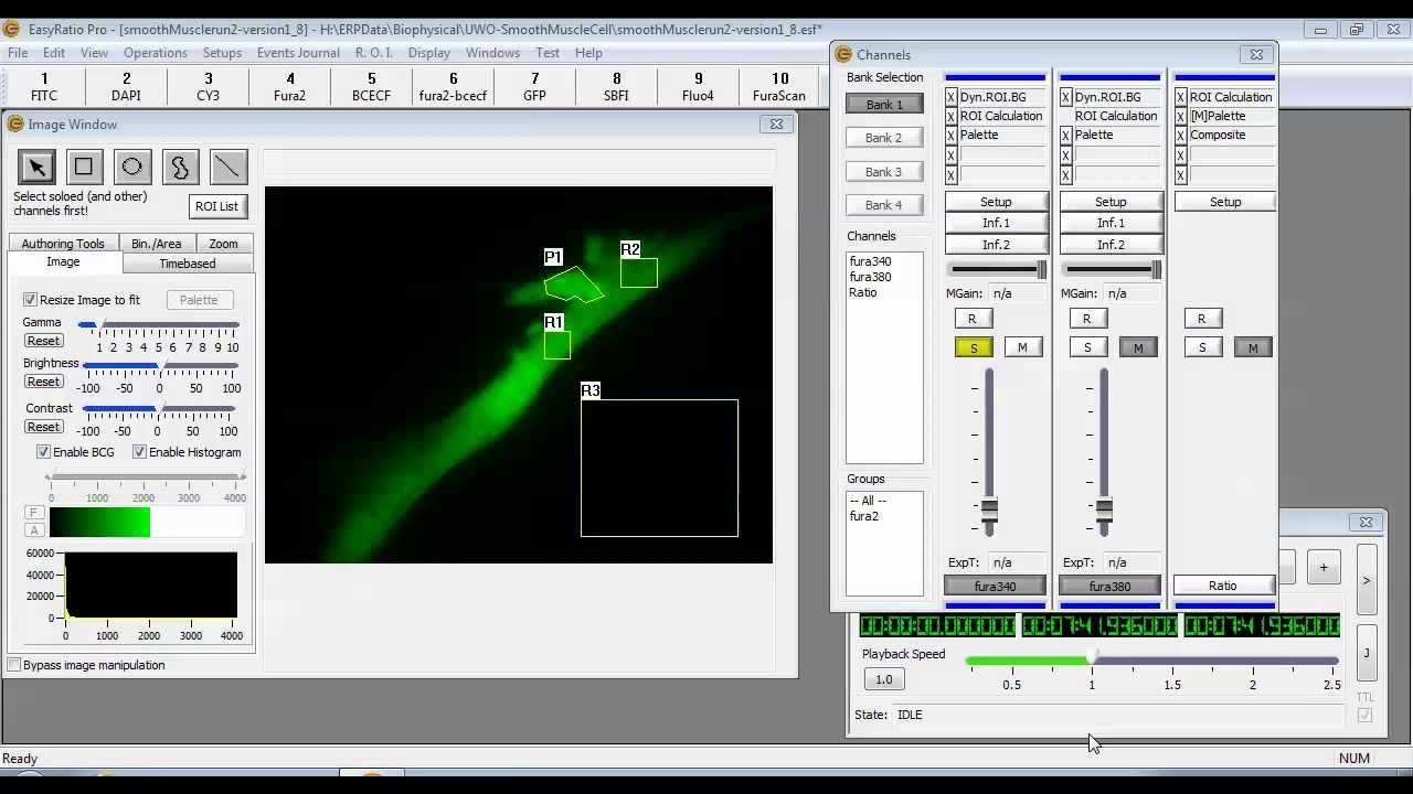 Export to MetaFluor - YouTube