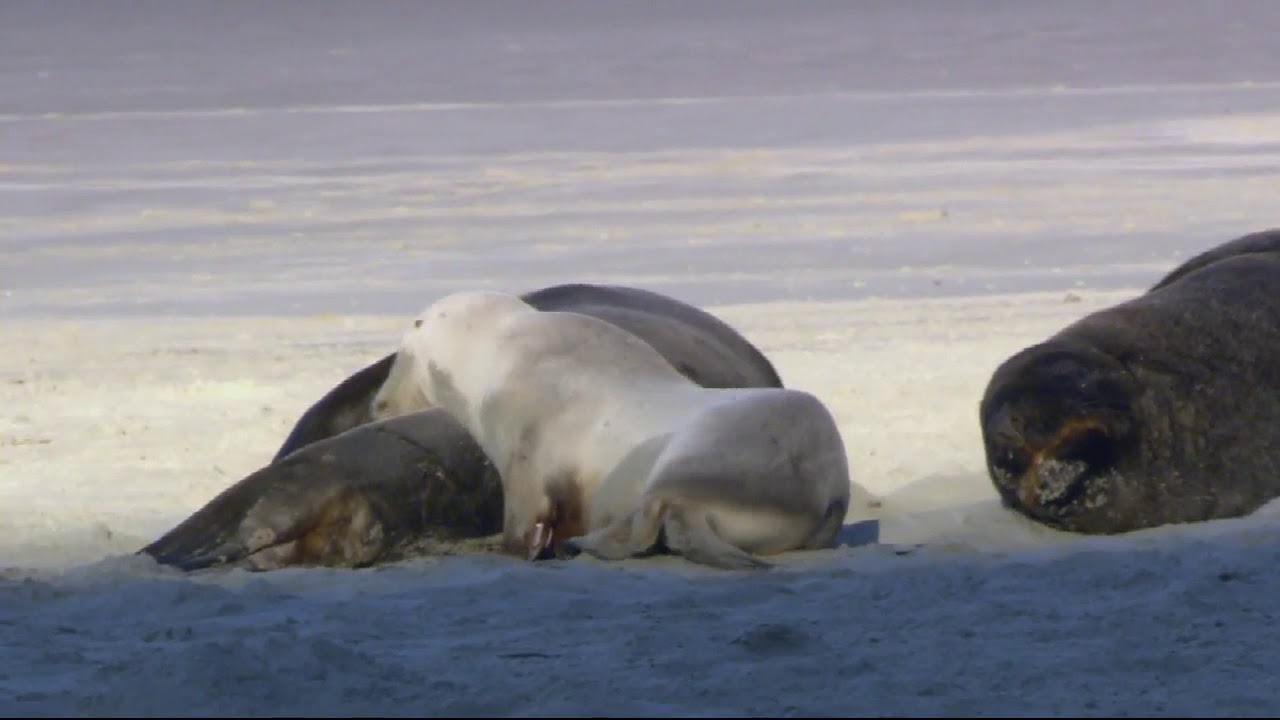 Wildlife absbsbsbs sbsbsbs bsbsbsbs bsbsbsbs bsbsbsbs bsbsbsbs bsbsbs ...