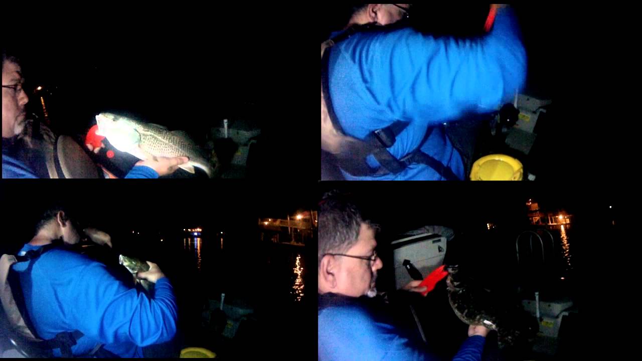 Dang Rats! - YouTube