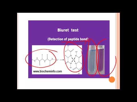 Biochemistry Practical- Experiment No-10 (Sample of protein-Casein/Milk ...