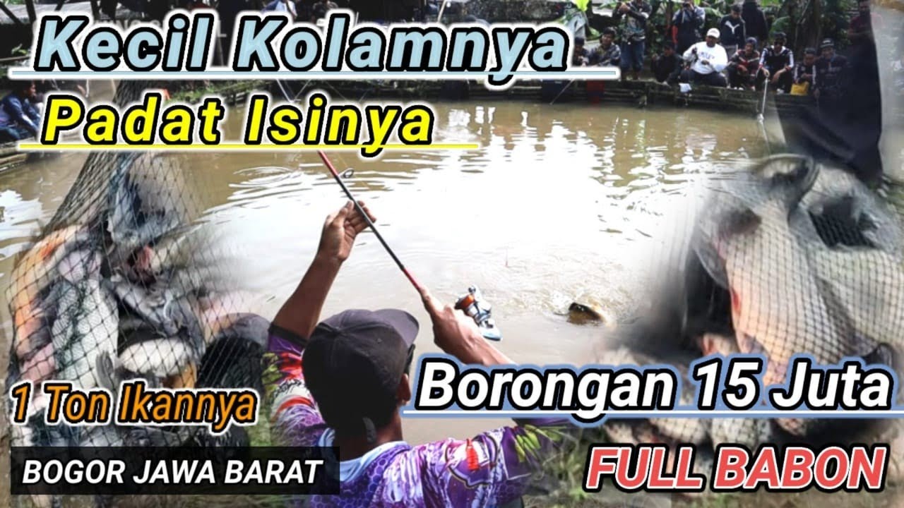 Mancing Borongan Full Babon Bareng Om Dudit Widodo - YouTube
